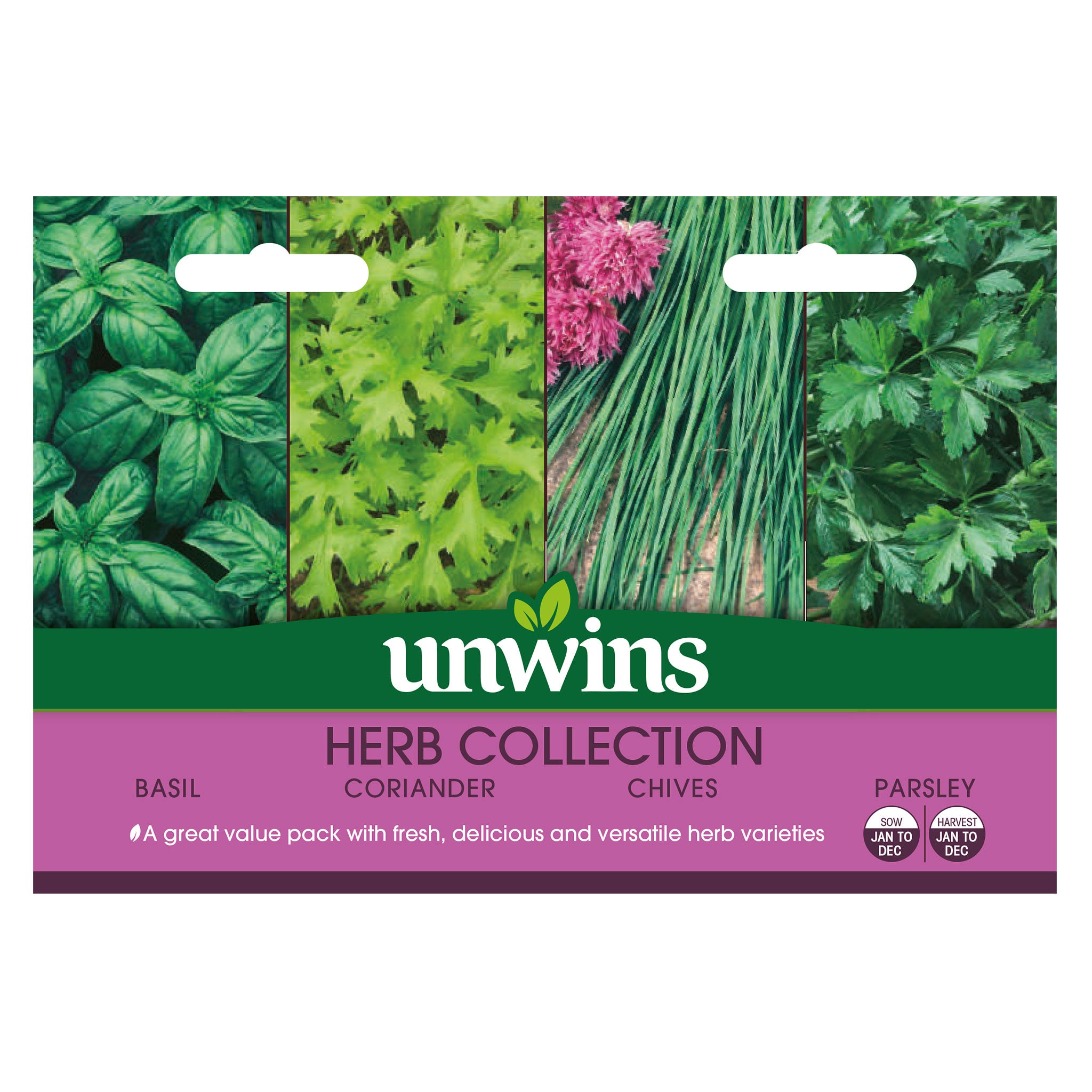 Herb Collection Pack | Direct4Gardens | – Direct4Gardens