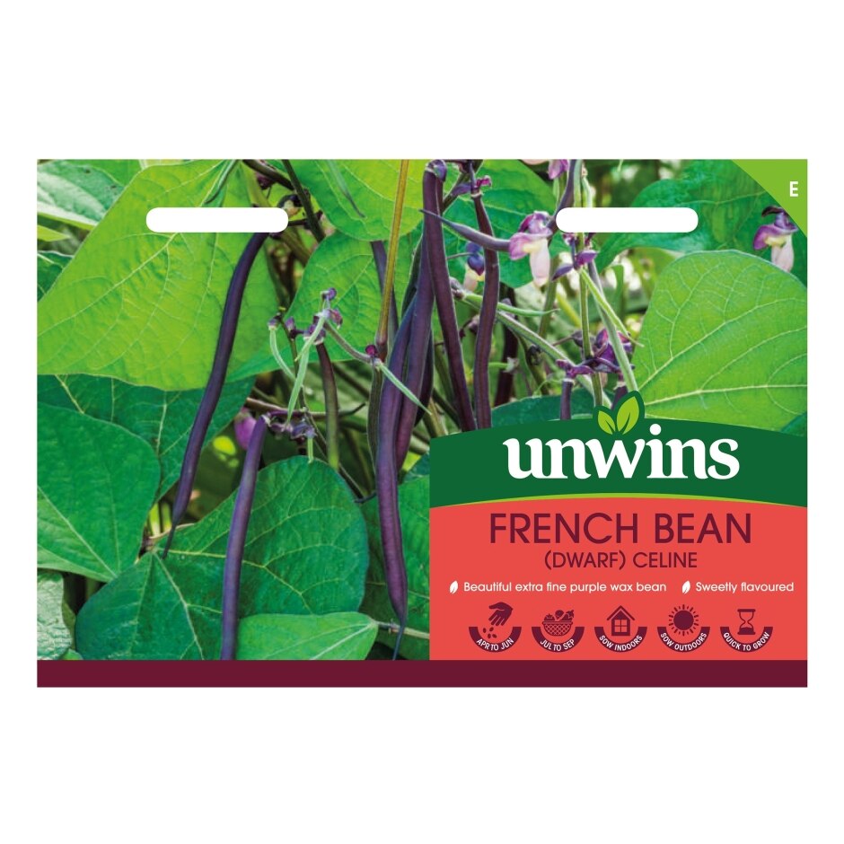 French Bean (Dwarf) Celine | Direct4Gardens | – Direct4Gardens